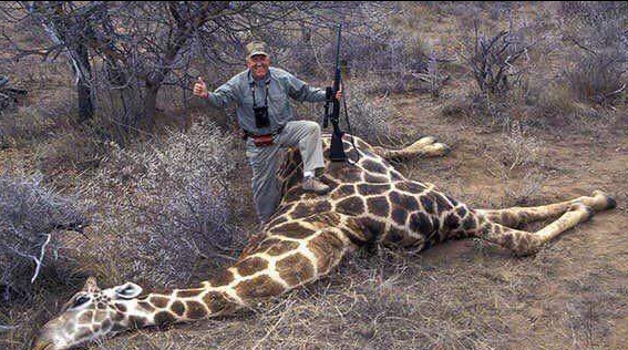 Dominion | Find The Wildlife Within